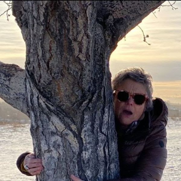 Sharon Stevens - cSPACE Projects